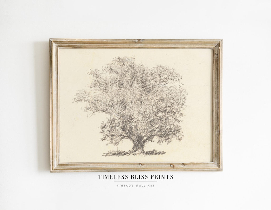 Antique Simple Tree Sketch Printable Vintage Tree Drawing Pencil Sketch ...
