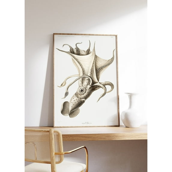 Antique Squid Print, Marine Animal Illustration, Nautical Home Decor ...