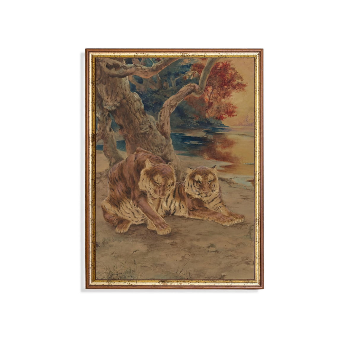 Antique Tiger Poster Vintage Jungle Animal Art Home Decor, 8x12 ...