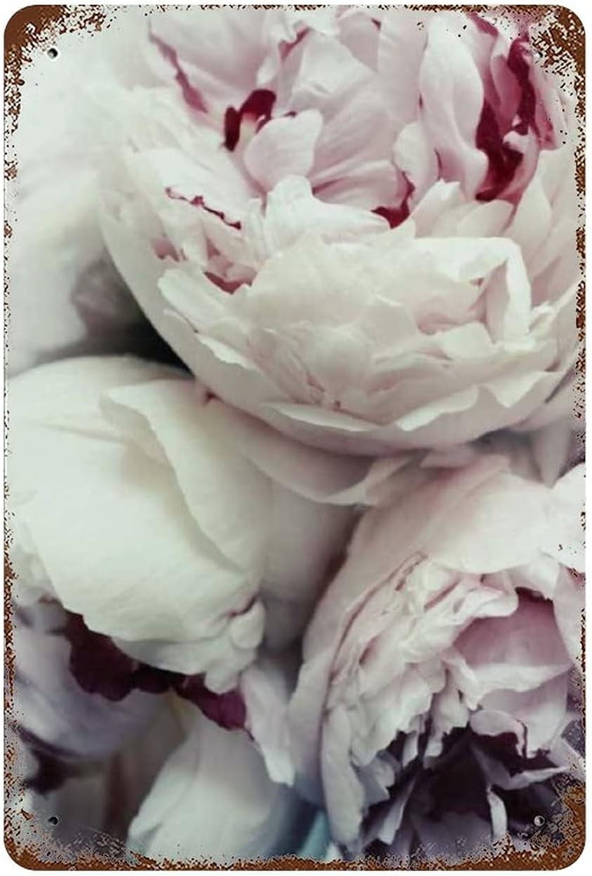 Antique Tin Sign Peonies Antique Tin Sign Swimming Points Retro Signs ...