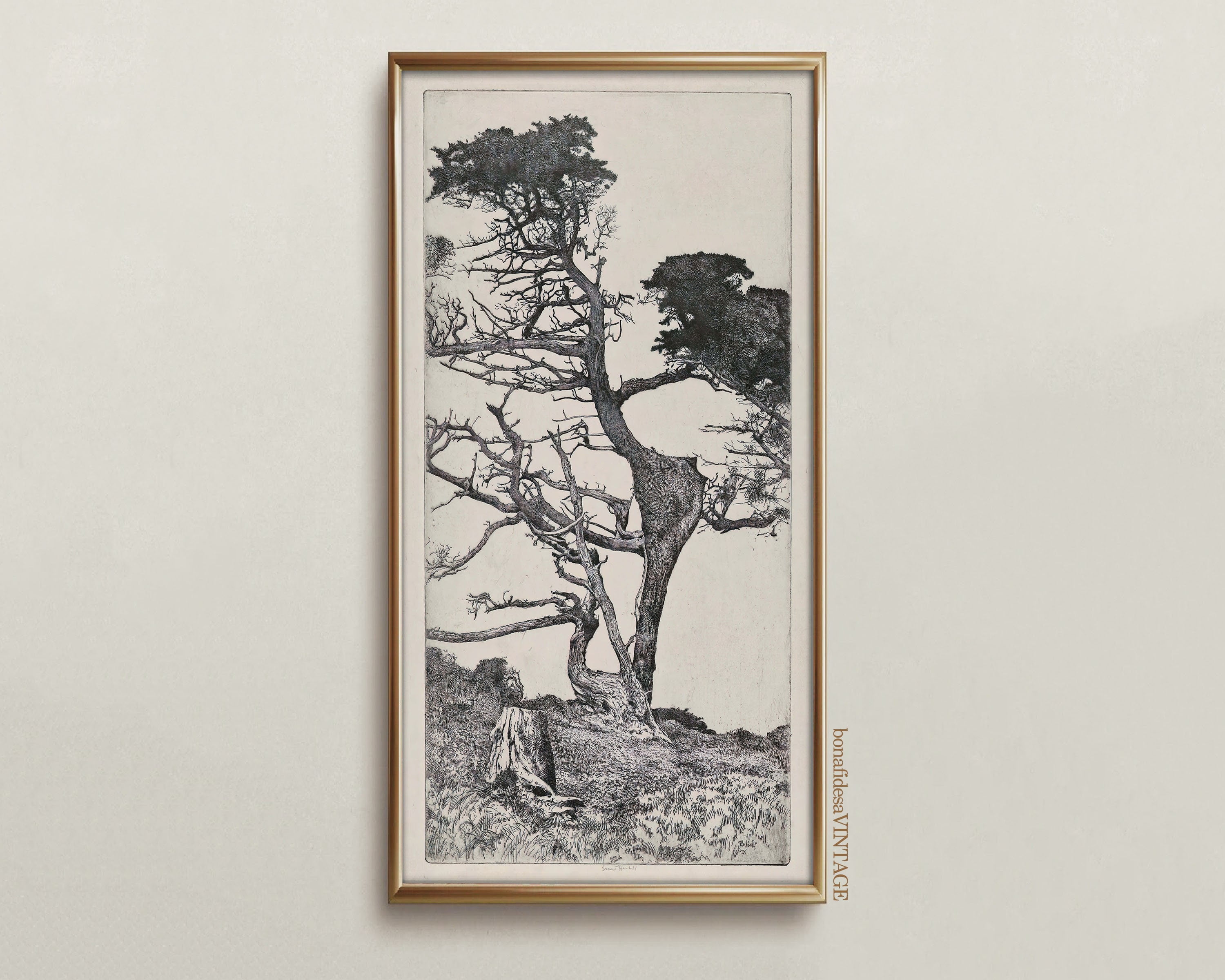 Antique Tree Art Print Poster, Poster Botanical Wall Art Poster, Tree ...