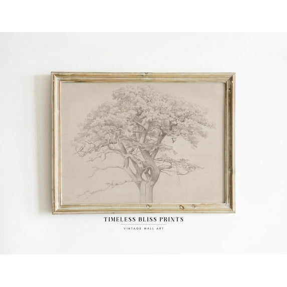 Antique Tree Drawing Printable Vintage Tree Sketch Wall Art Sepia ...