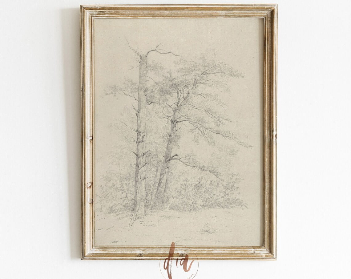 Antique Tree Drawing, Vintage Tree Sketch, French Country Farmhouse ...