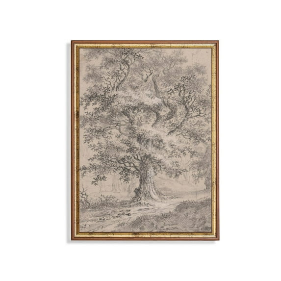 Antique Tree Sketch Poster 19Th Century Pencil Drawing Home Decor ...