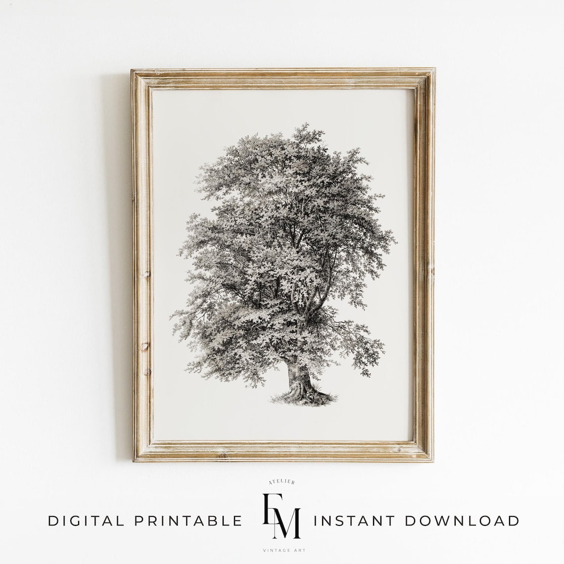Antique Tree Sketch Print Neutral Rustic Tree Decor Tree Nature Drawing ...