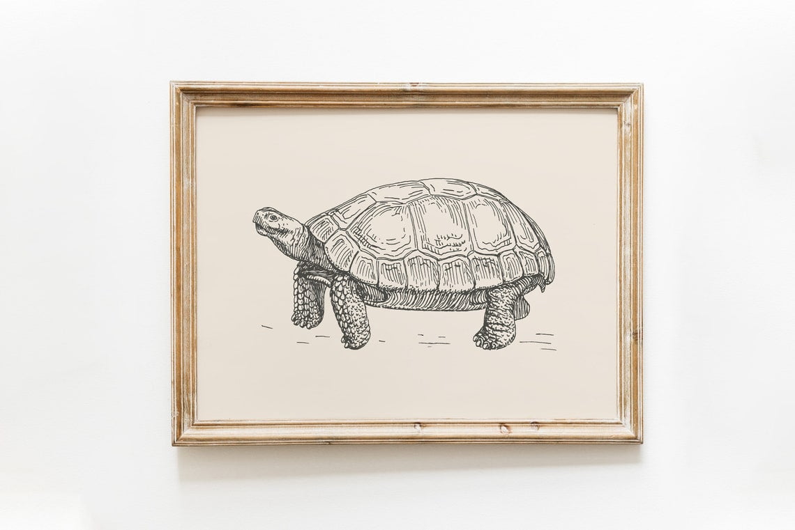Antique Turtle Drawing Vintage Farmhouse Wall Decor Unframed Paper ...