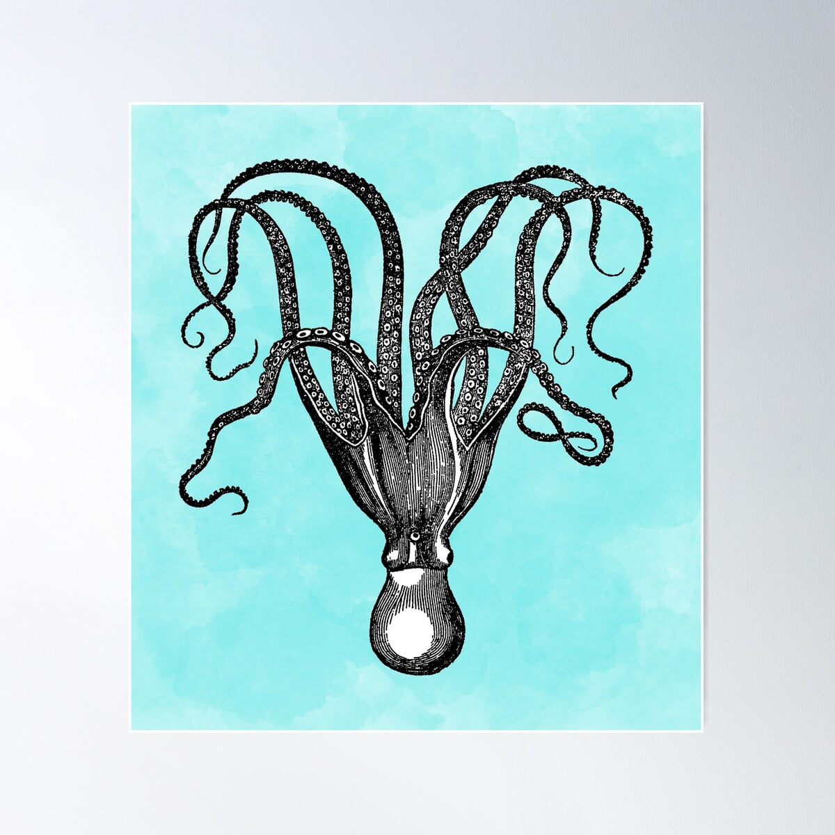 Antique Victorian Octopus Ocean Life Poster Wall Art, Modern Wall Decor ...