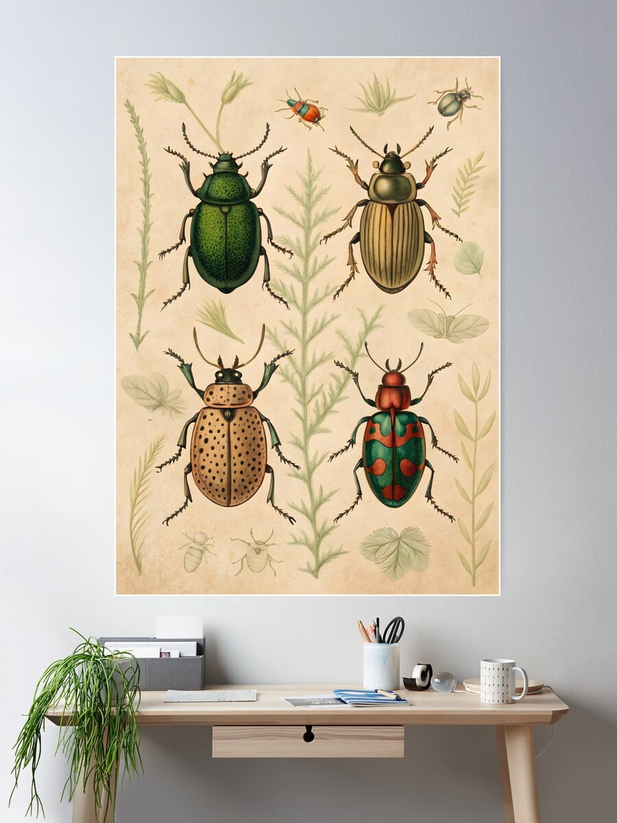 Antique Vintage Botanical Poster With Butterflies Poster Wall Art ...