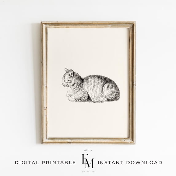 Antique Vintage Cat Print Retro Feline Print Rustic Wall Art Black Cat ...