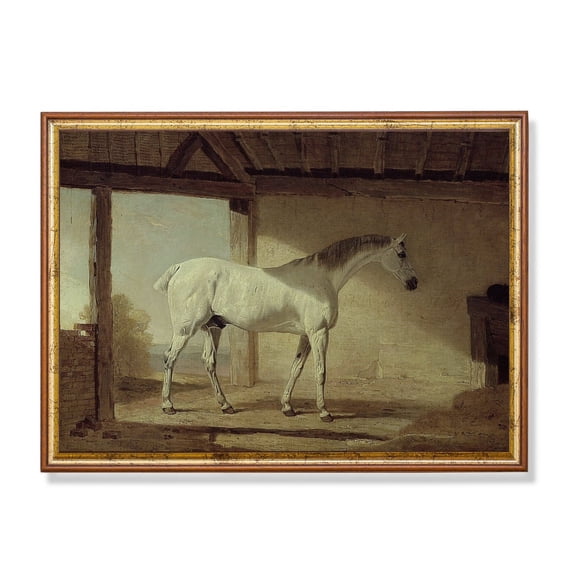 Antique White Horse Poster Vintage Equestrian Home Decor, 8x12 UNFRAMED ...