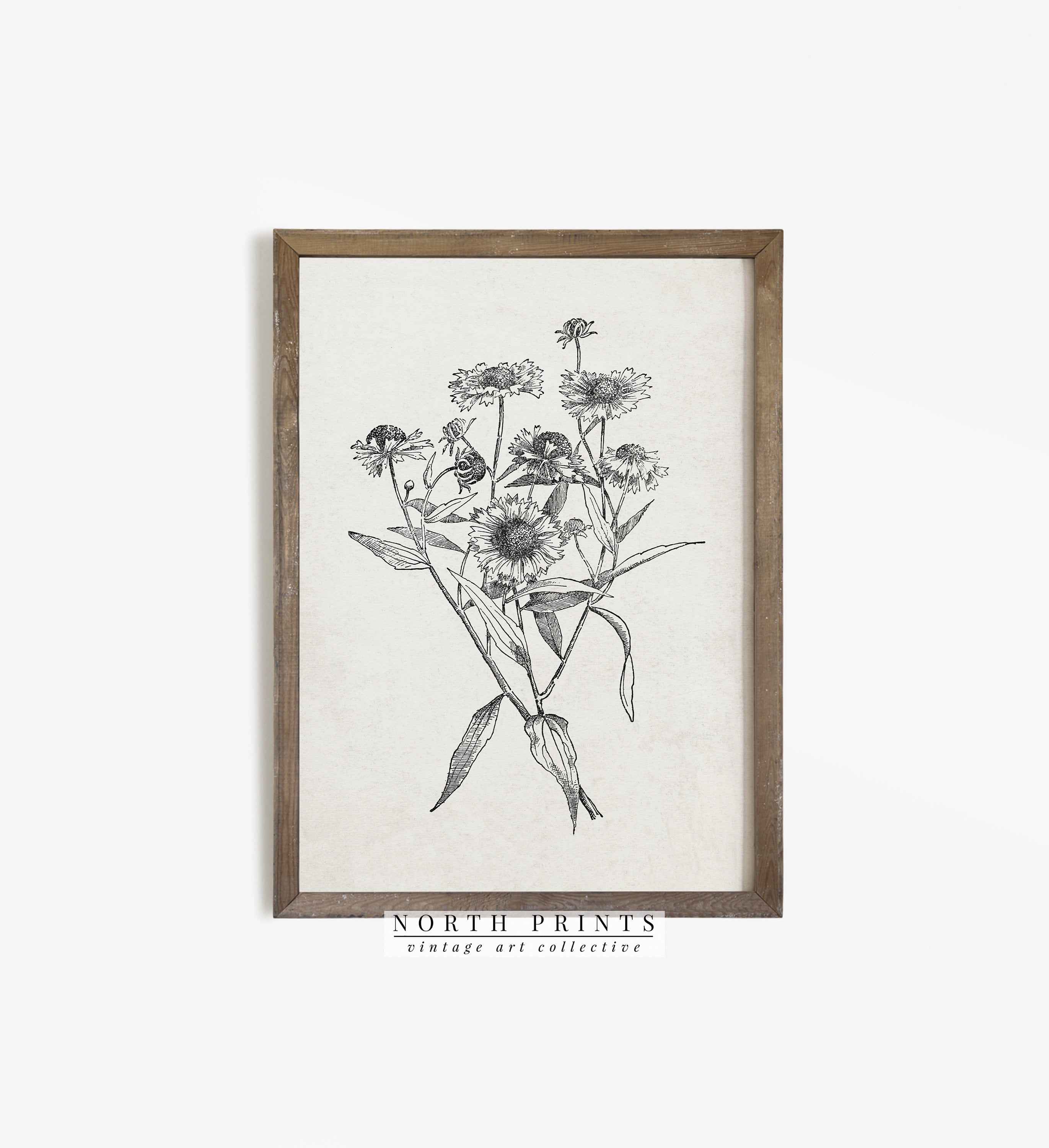Antique Wild Flower Sketch Print | Simple Vintage Country Wall Art ...