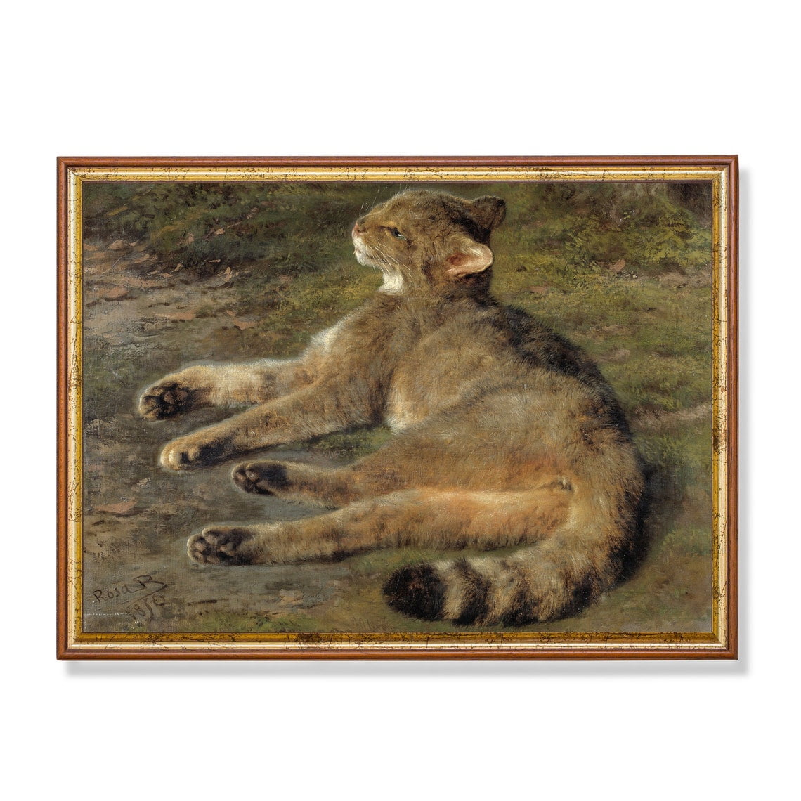 Antique Wildcat Poster Rustic Feline Wall Art Home Decor, 24x36 ...