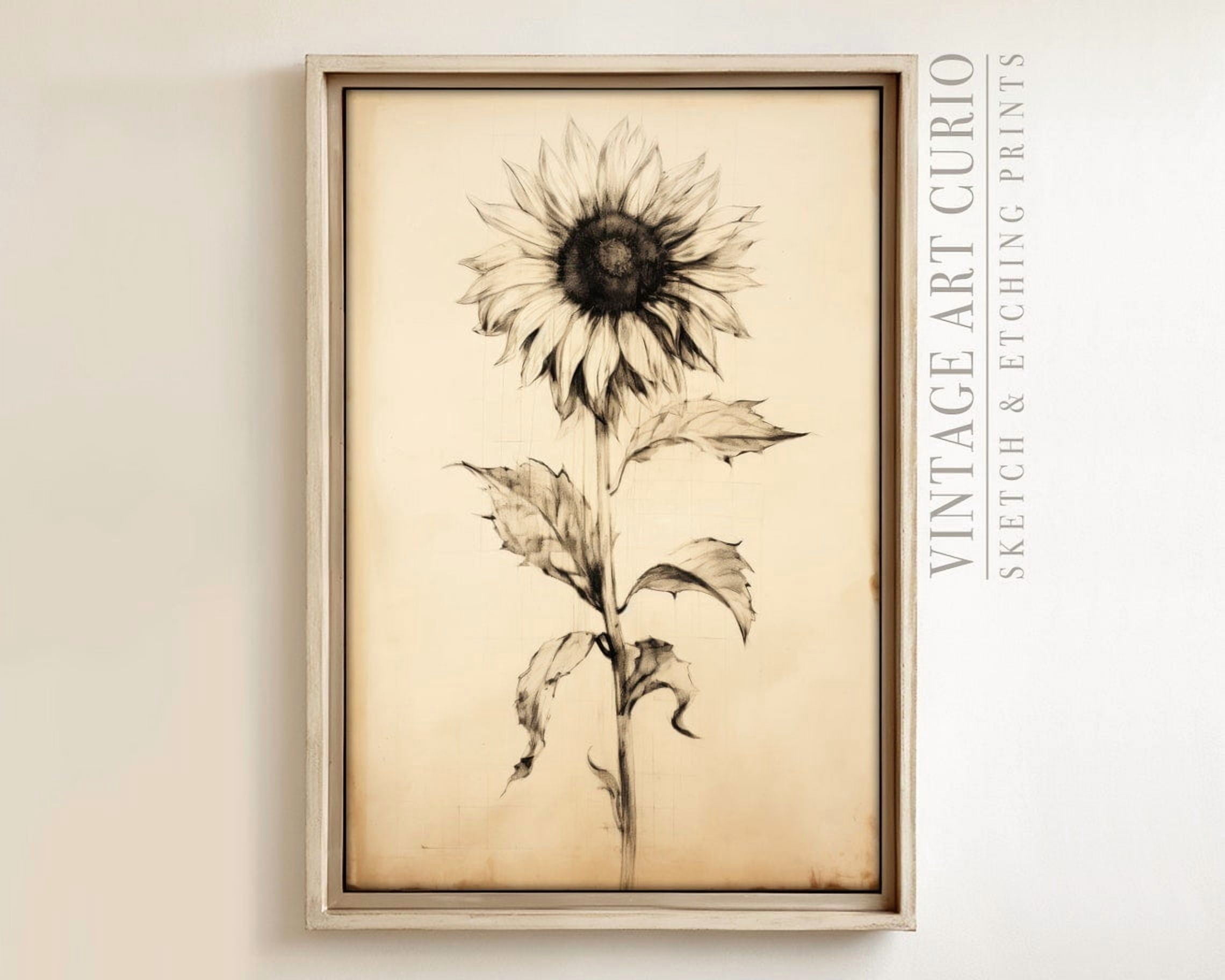 Antique XL Sunflower Wall Art, Soft Light Neutral Tones, Vintage ...