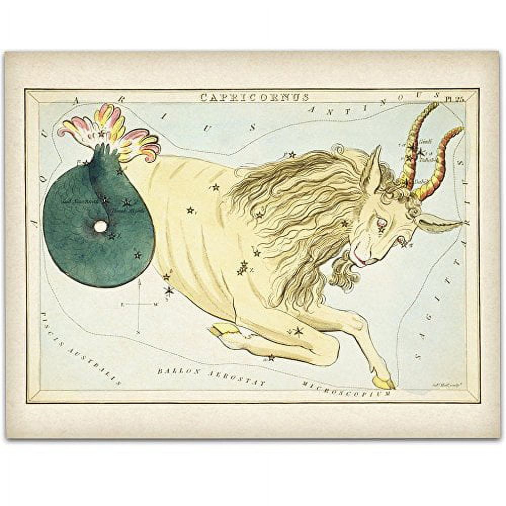Antique Zodiac Capricorn Constellation Plate - 11x14 Unframed Art Print ...