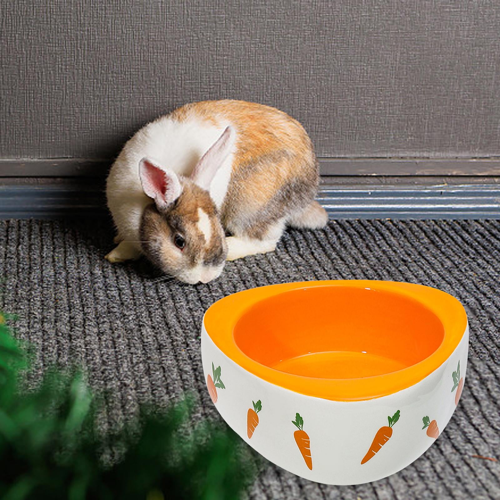 Antiskid Rabbit Feeder Bowl Food Dispenser Feeding Basin Cat Dog Water ...