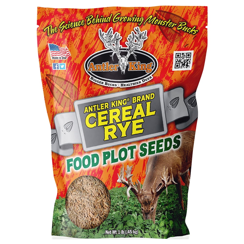 Antler King Cereal Rye Plant Seeds, Protein 20%-25%, Ideal pH 6.0 ...