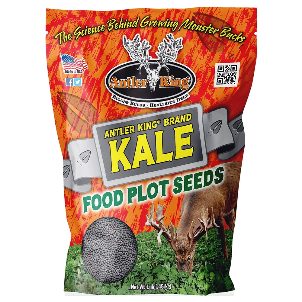 Antler King Kale Seed 1/8 Acre - Walmart.com