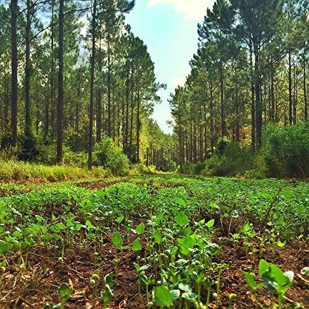 Antler King Red Zone - Walmart.com