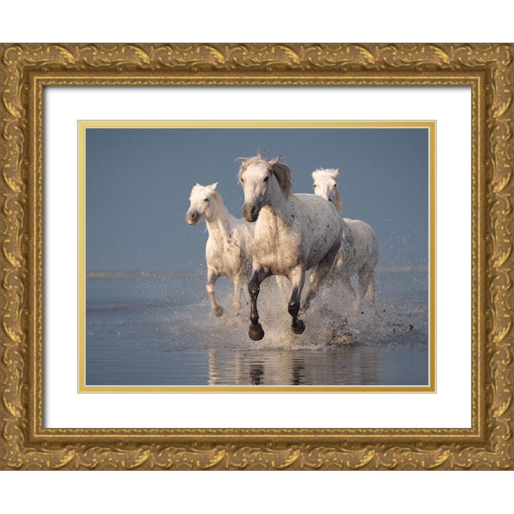 Anton, Rostovskiy 18x15 Gold Ornate Wood Framed with Double Matting ...