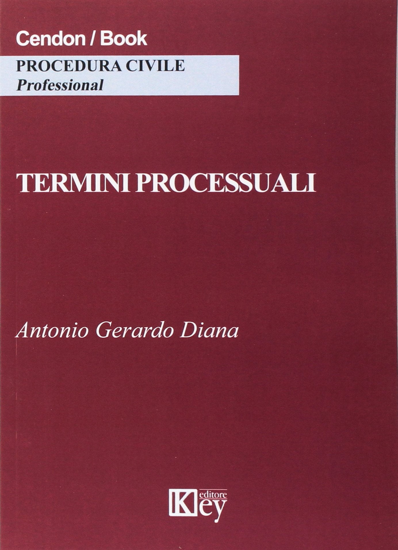 Antonio Gerardo Diana Termini processuali (Paperback) - Walmart.com
