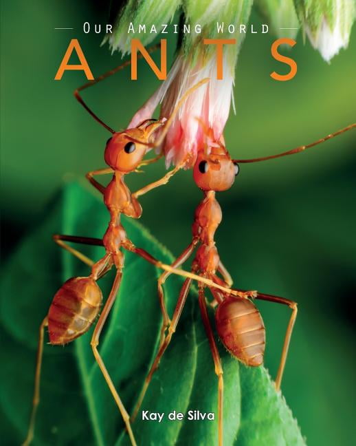 Ants: Amazing Pictures & Fun Facts on Animals in Nature (Paperback ...