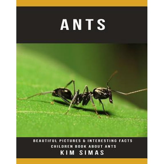 Ants: Beautiful Pictures & Interesting Facts Children Book about Ants ...