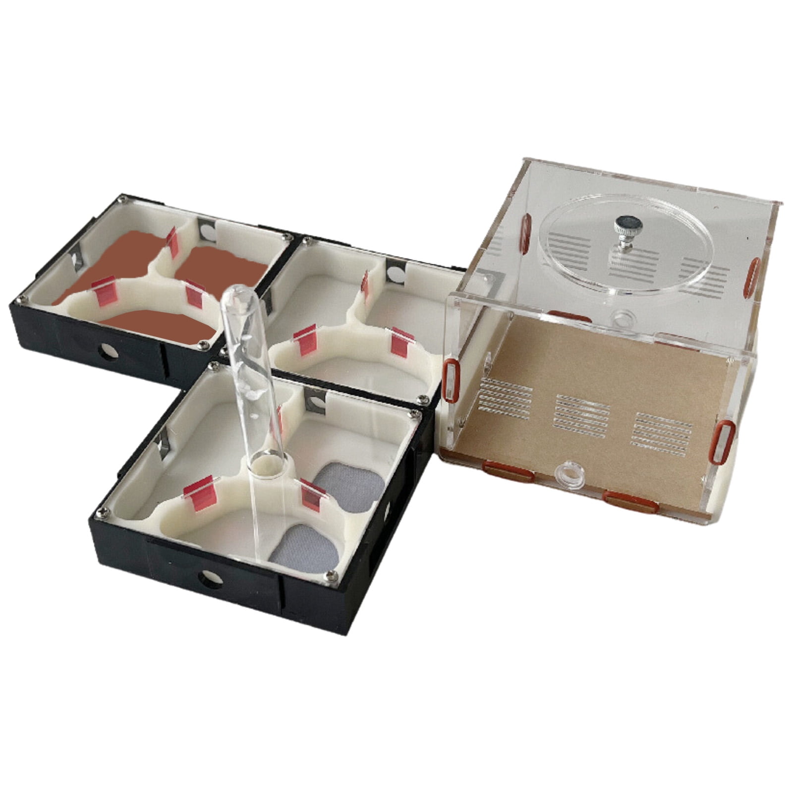 Ants Footsteps Ant Farm Science Kit – Nature Learning with Water Tower ...