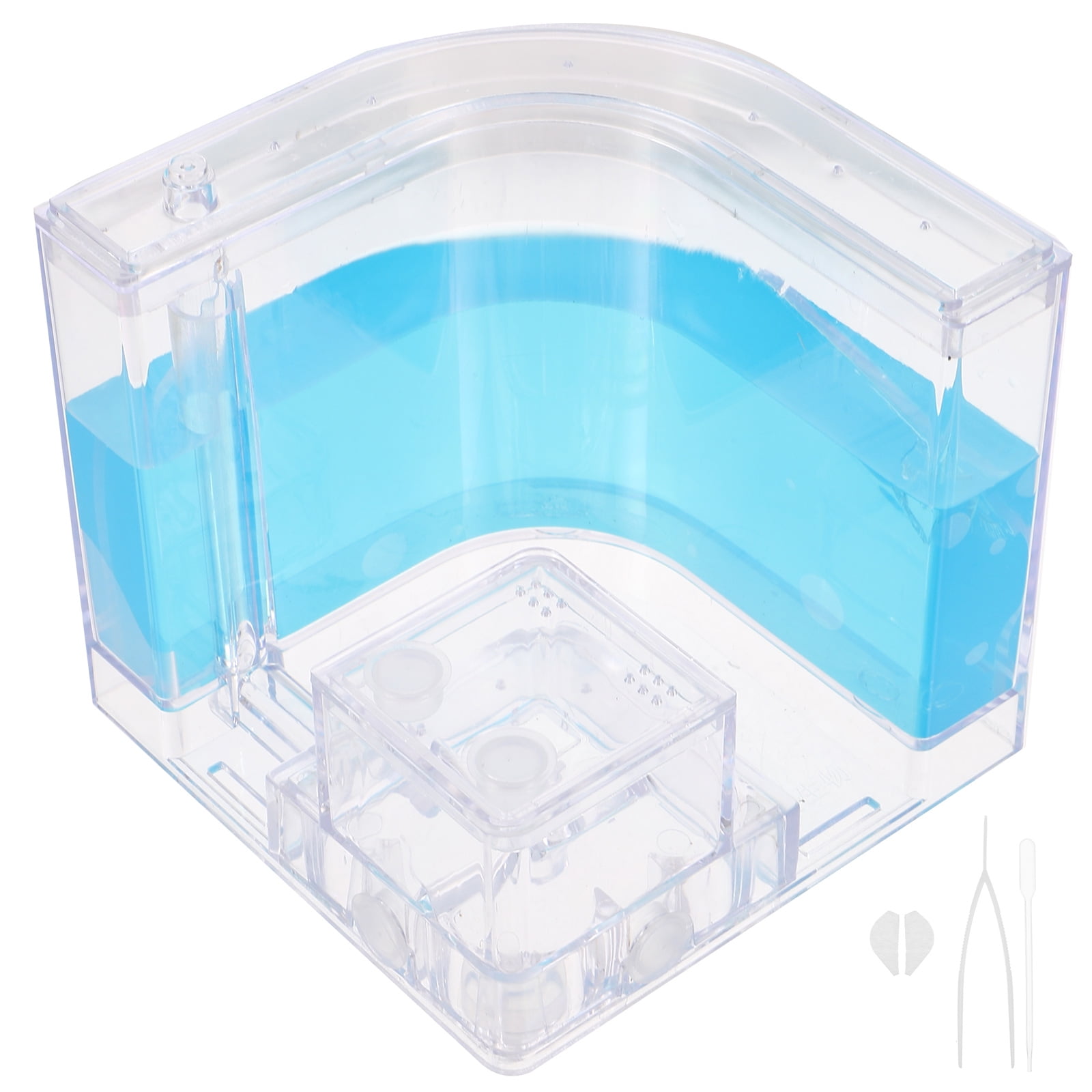 Ants Plastic Farm Ants Living Space Ants Box Ants Observing Box Ants ...