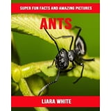 Ants: Super Fun Facts and Amazing Pictures Paperback - Walmart.com