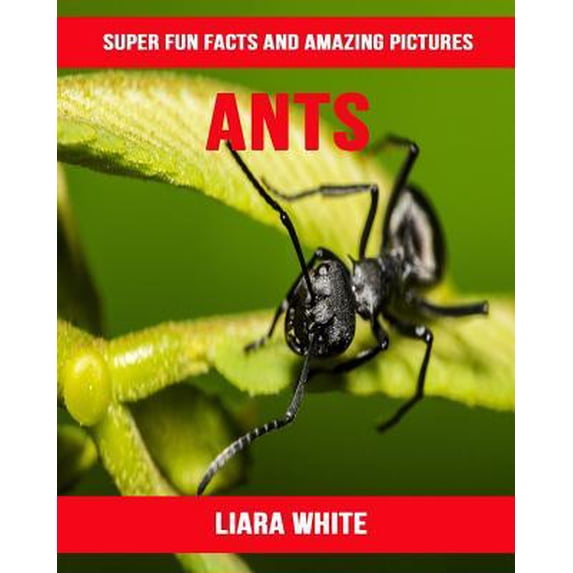 Ants: Super Fun Facts and Amazing Pictures Paperback - Walmart.com
