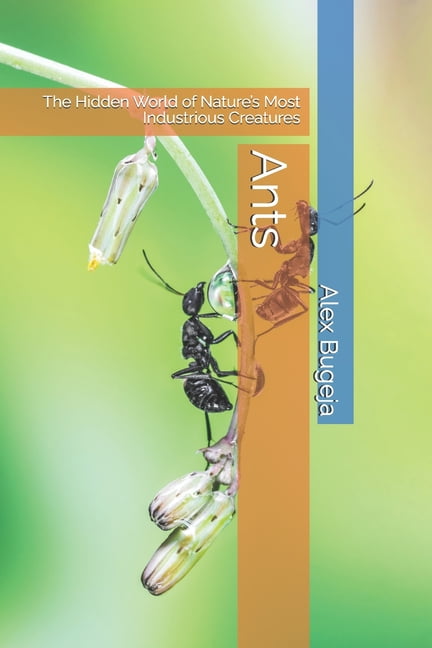 Ants: The Hidden World of Nature's Most Industrious Creatures ...