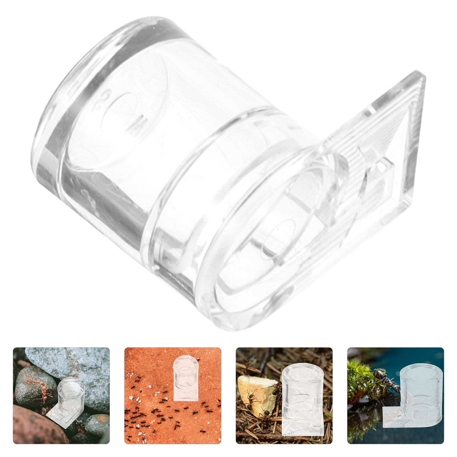 Ants Water Feeder Ants Feeding Box Ants Feeding Container Ants Feeding ...
