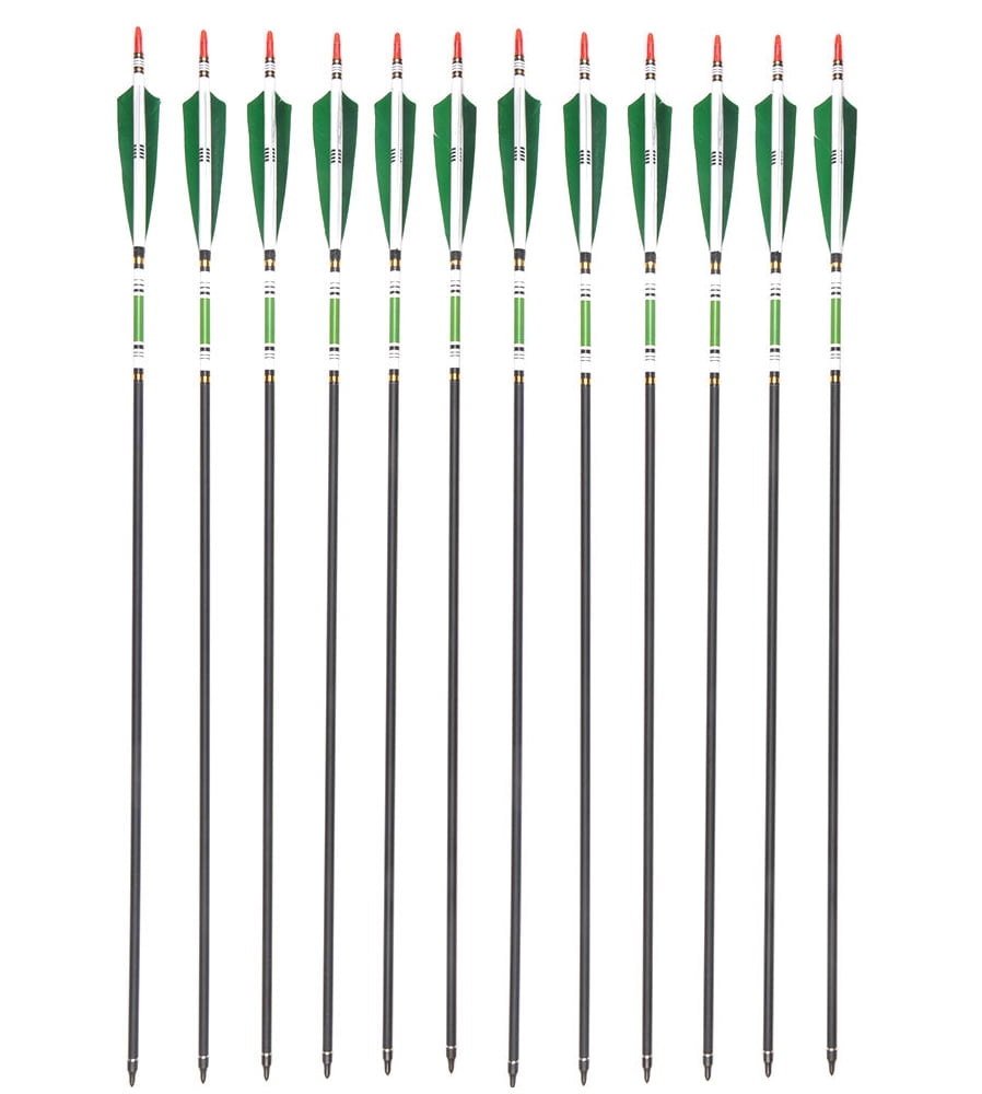 Antsir 12 pcs Carbon Shaft Arrows Spine 500 80cm With True Turkey ...