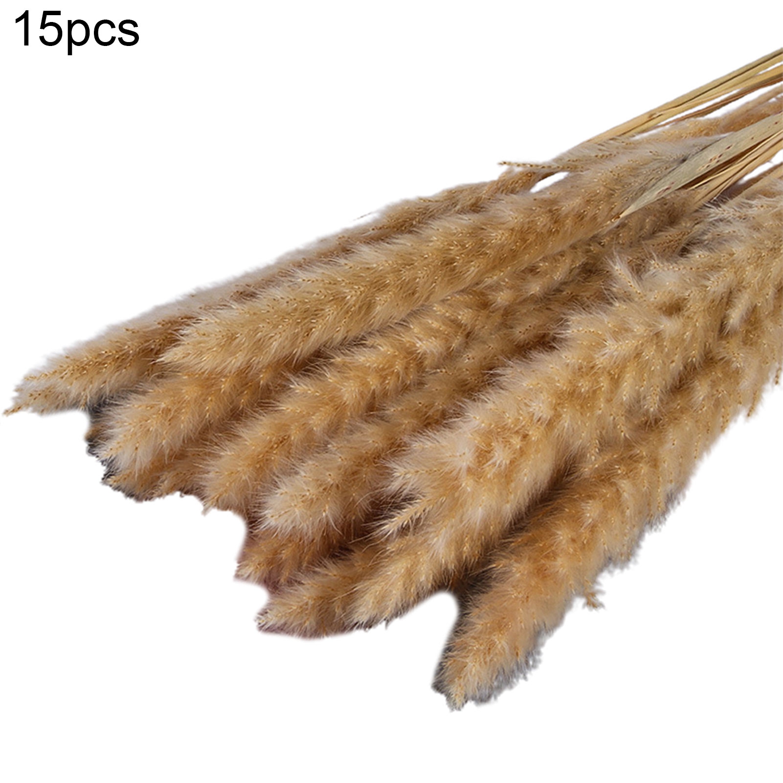 Anvazise 15Pcs/Bundle Small Pampas Grass Ornamental Desktop Decor Dried ...