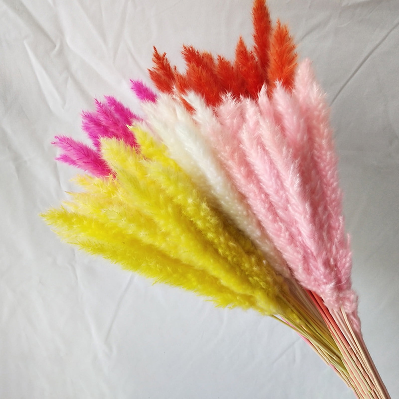 Anvazise Artificial Dried Pampas Grass Realistic Vibrant Color Easy ...