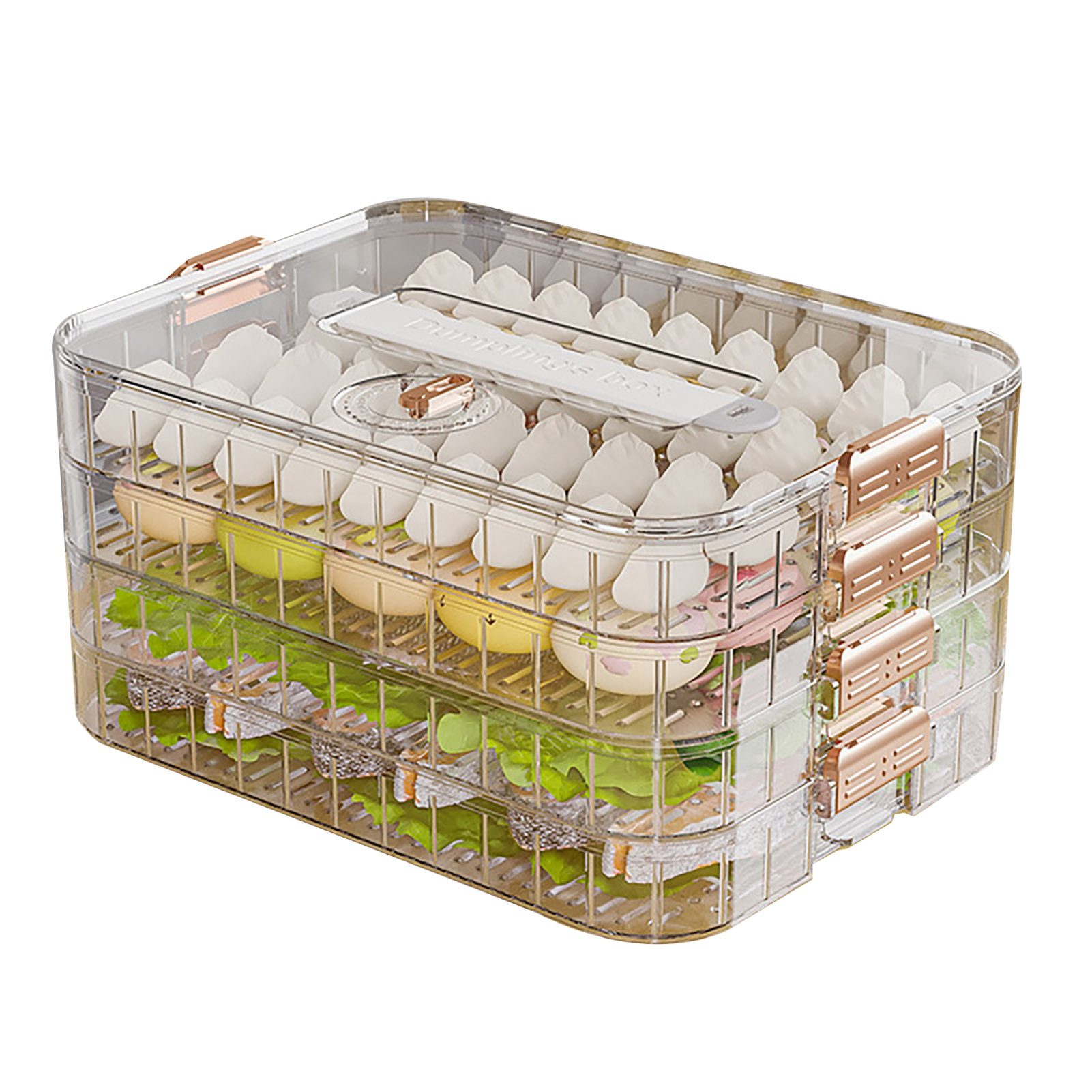 Anvazise Dumpling Storage Box Dumpling Container Refrigerator Storage ...