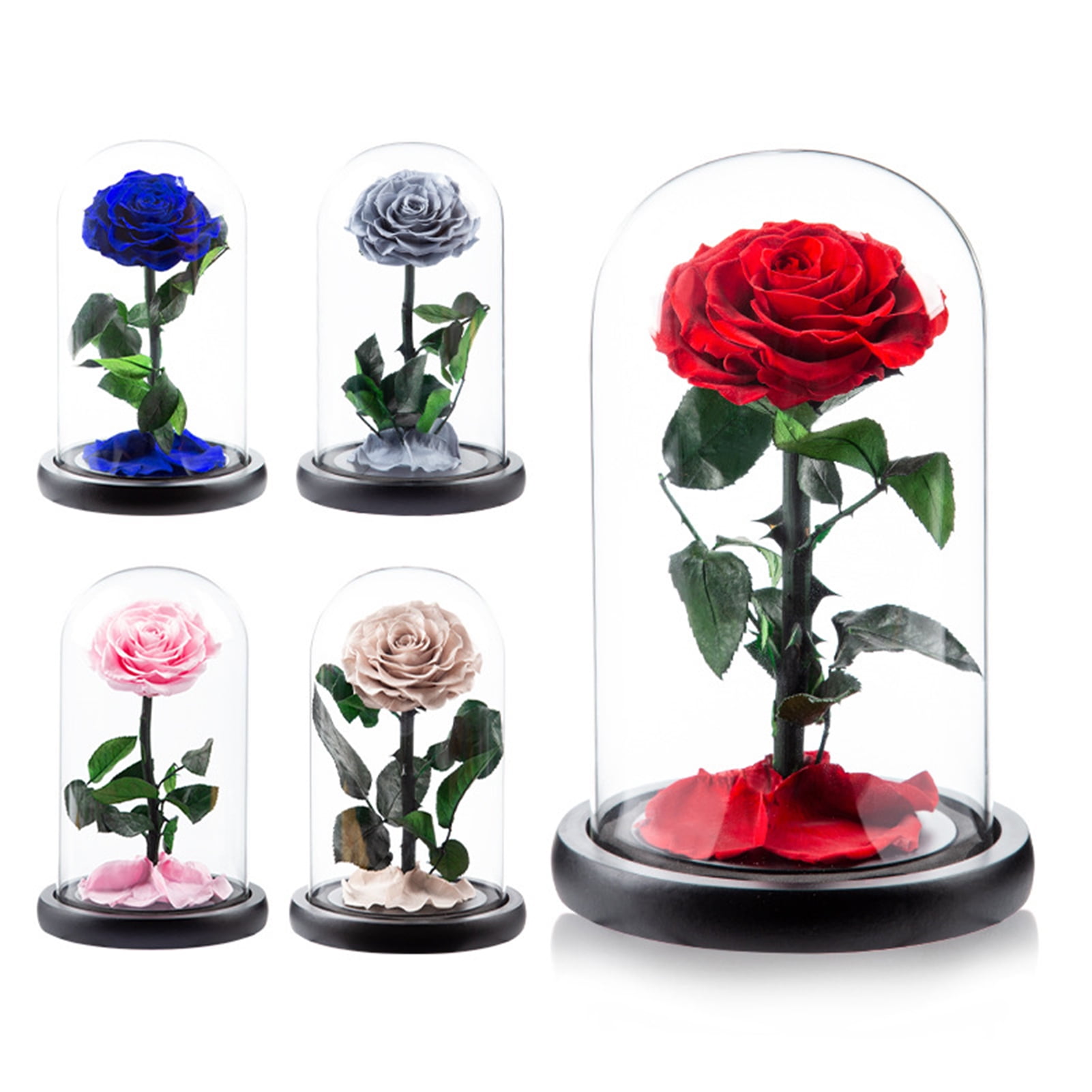 Anvazise Eternal Rose in Glass Dome Romantic Aesthetic Artificial ...