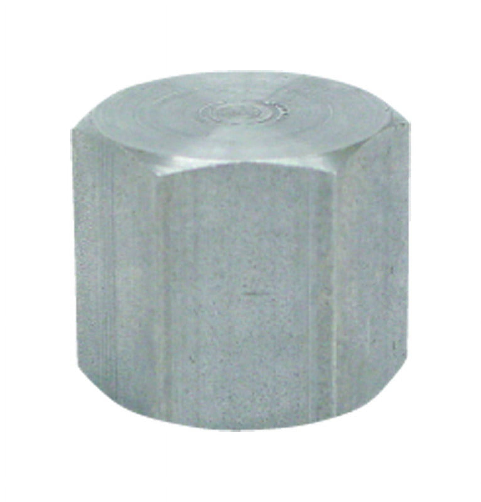 Anvil 1/8 in. FPT Malleable Iron Cap - Walmart.com