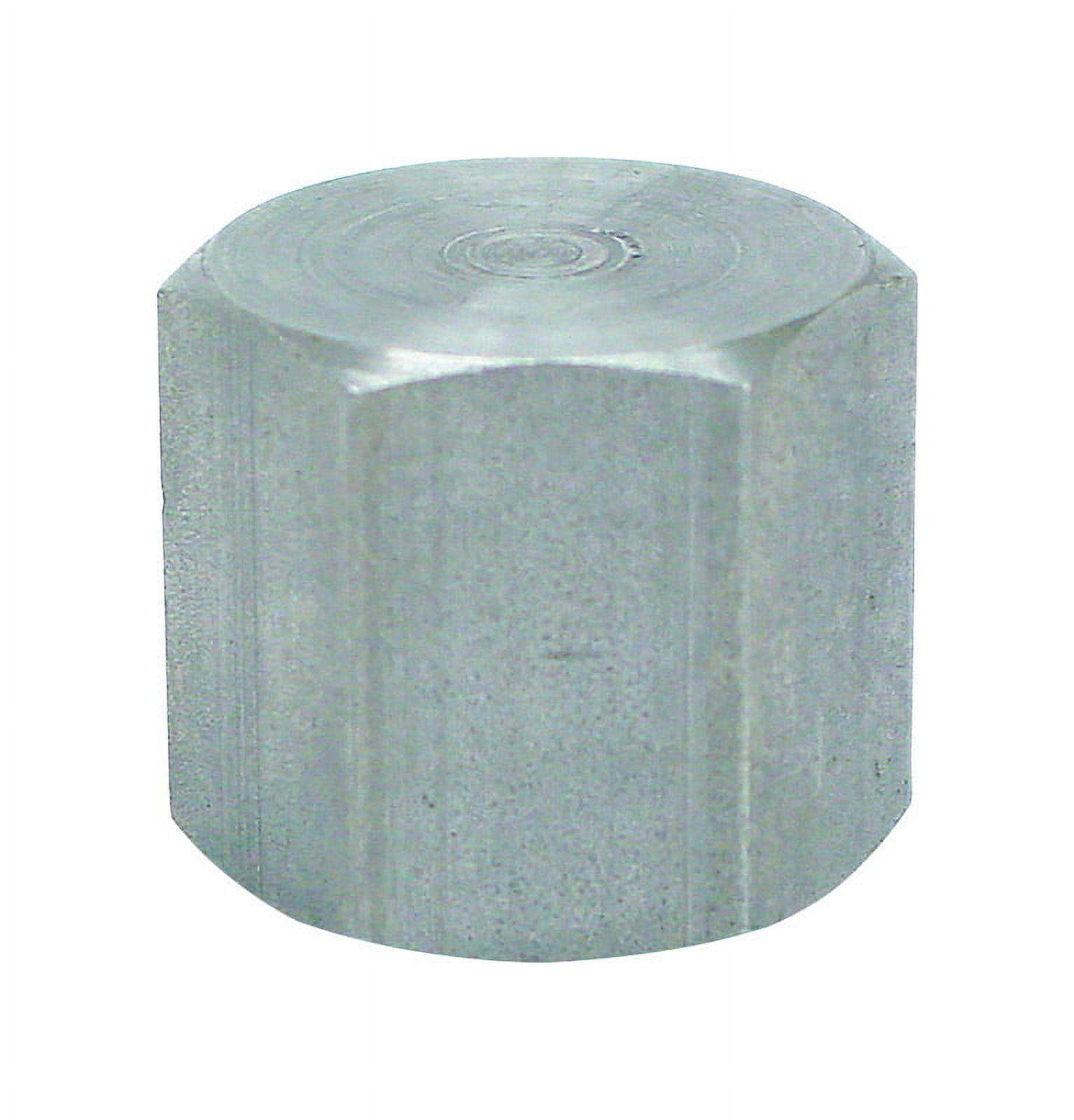 Anvil 8700132551 Schedule 40 FPT Cap, Malleable Iron, Galvanized ...