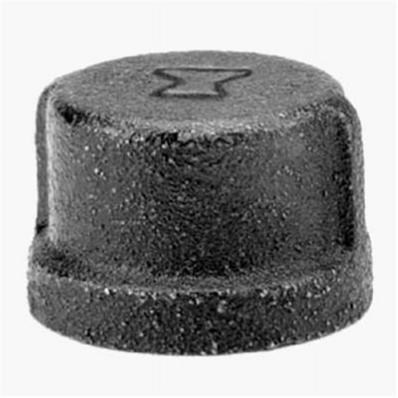 Anvil International 8700132254 .75 in. Black Pipe Cap - Walmart.com