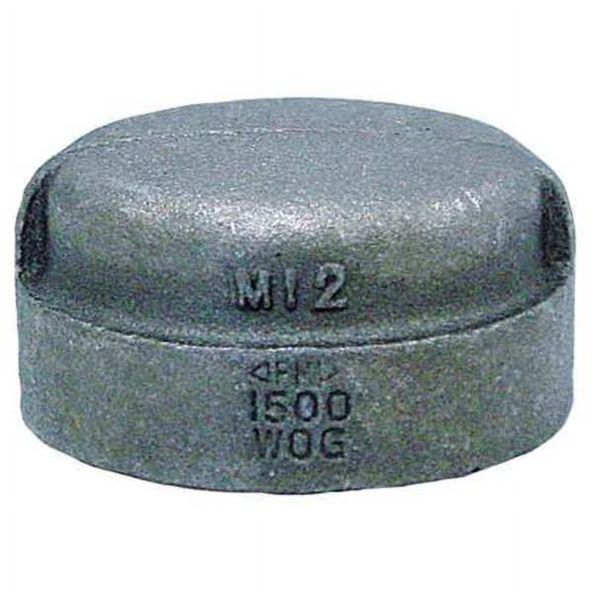 Anvil Cap Cap, 1-1/4" Pipe, FNPT, Malleable Iron, Class 3000 0318901360 ...