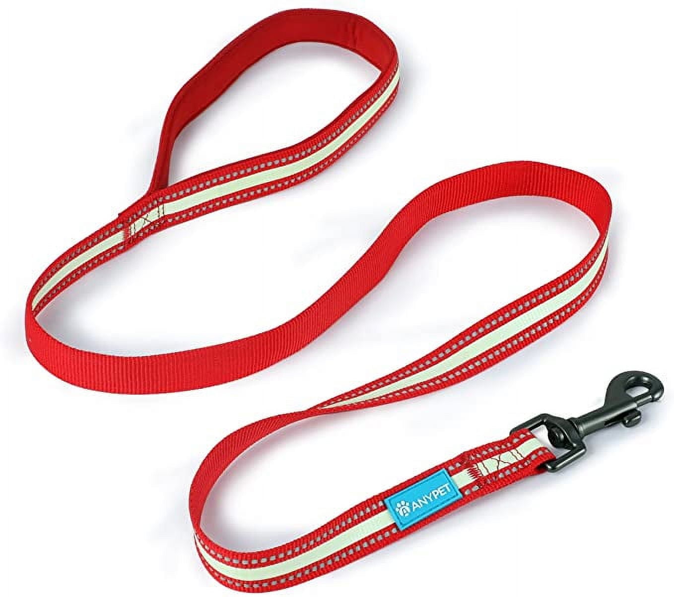 AnyPet Small Leash for Dogs & Cats, Red with White Stripe, Nylon 4 ft ...