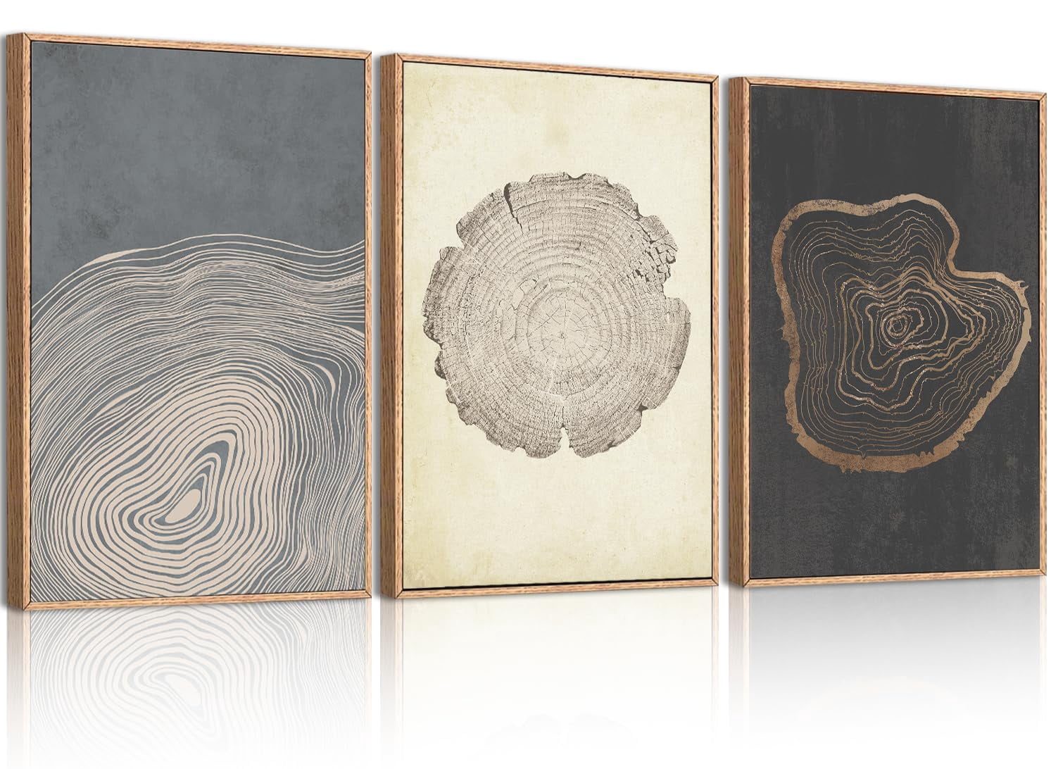 Anyzal Neutral Abstract Tree Ring Canvas Wall Art 16×24×3 Black Beige ...