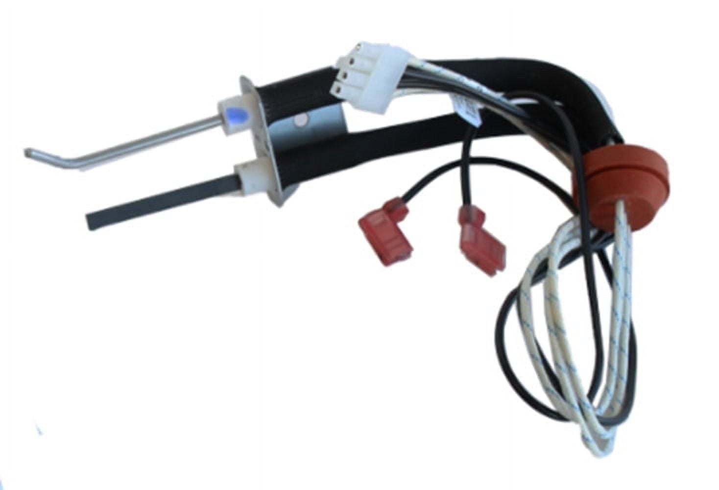 "Ao Smith 100110771: HSI Ignition/Sensor Assembly Kit (Replaces ...