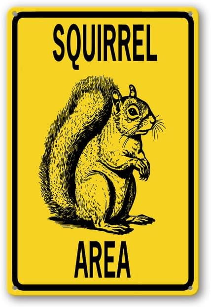 AociSuki Squirrel Area Sign 8x12inch Sign Metal Plaque Sign ...
