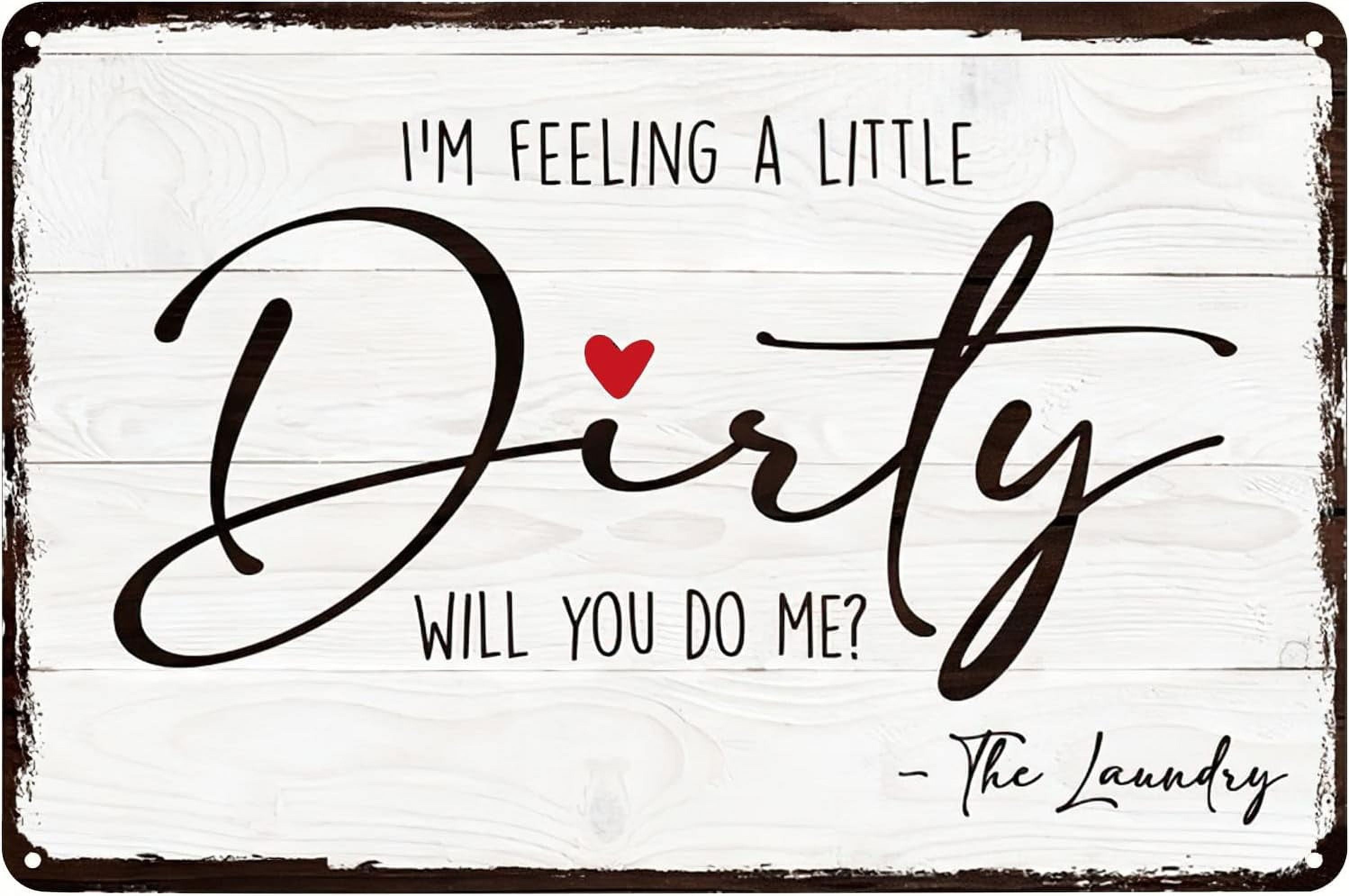 AociSuki Vintage Metal Signs I'm Feeling A Little Dirty Laundry Sign ...
