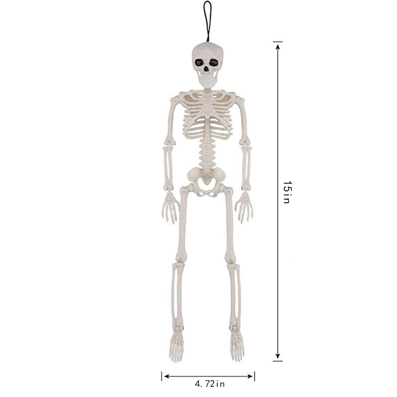 Aodebiao 3 Packs 15in Halloween Skeleton Decor, Full Body Joints ...