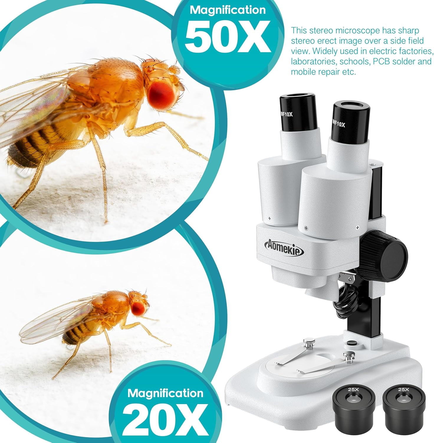 Aomekie® Microscope 20X 50X with 10Pcs Slides Insect Specimen Stereo ...