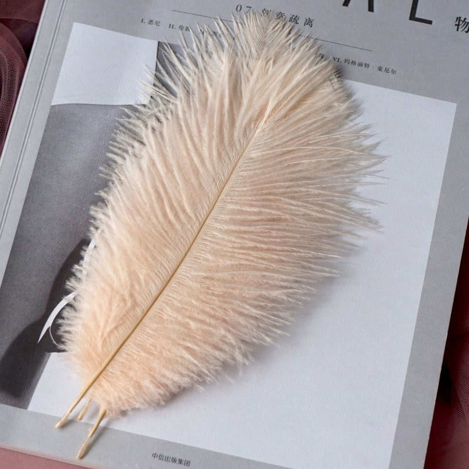 Aonity 10 Colorful Ostrich Feathers Wedding Background Wall Decoration ...
