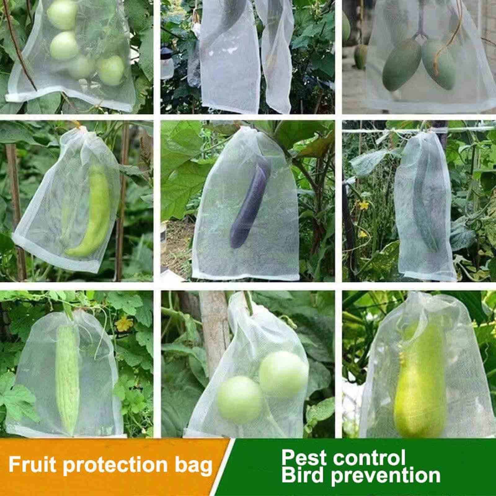 Aooww 100-Pack 4x6 Inch Fruit Protection Mesh Bags, Organza Drawstring ...